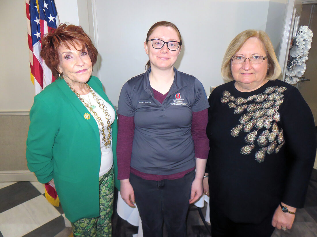 Make It, Bake It, Take It auction Thursday for club | News, Sports ...